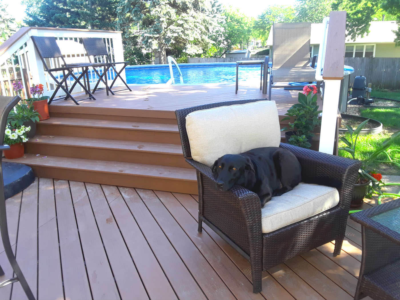 Composite & Vinyl Decks